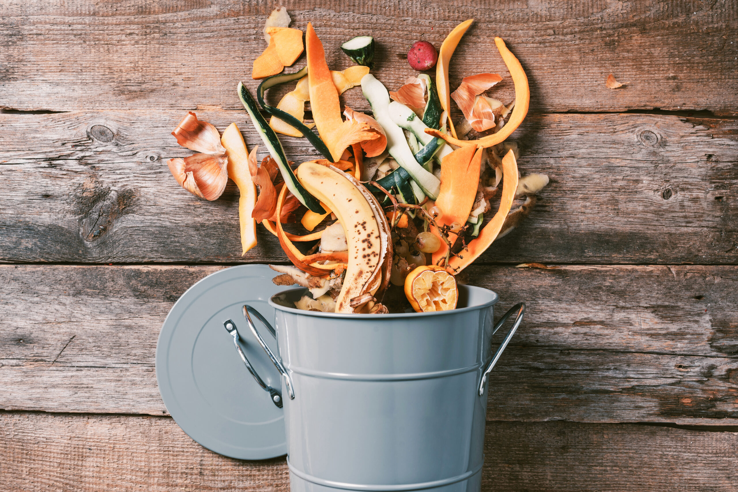 ENTENDA A COMPOSTAGEM - Transresind